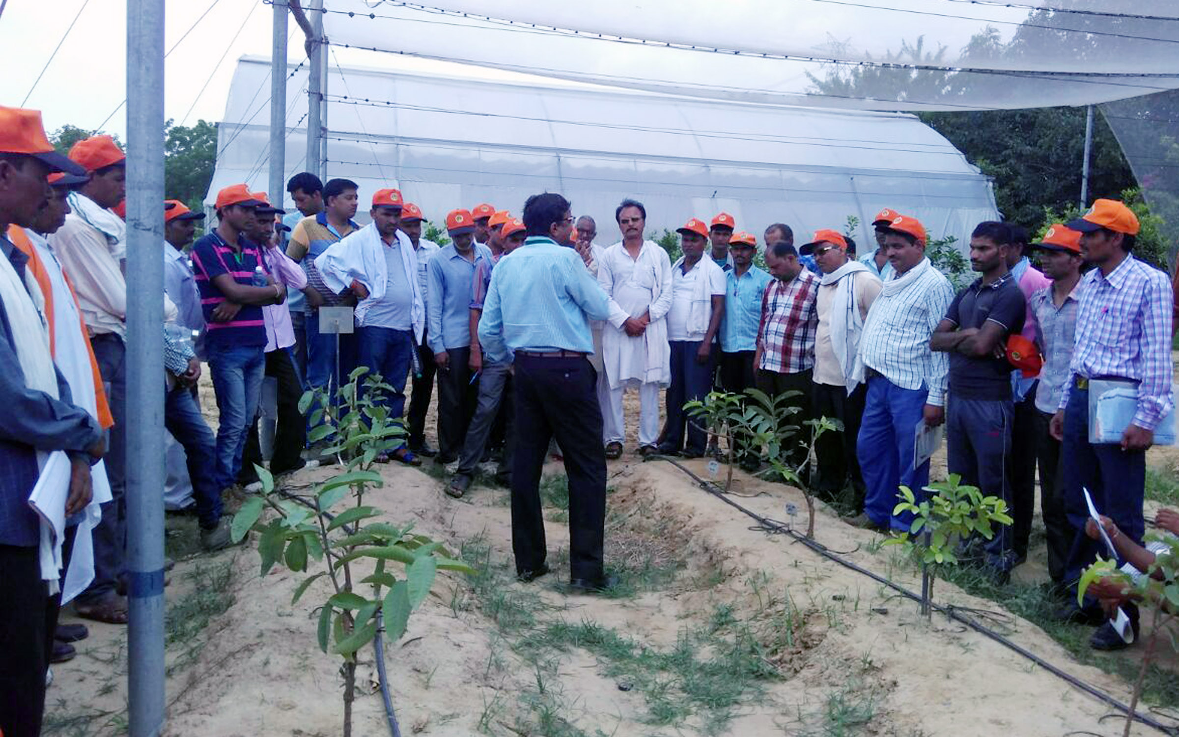 Capacity Building Programme - Institute of Horticulture Technology