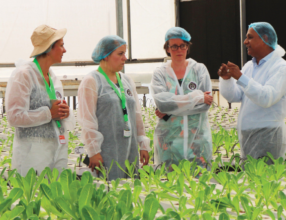 Institute of Horticulture Technology, Top College of Gardening Training ...