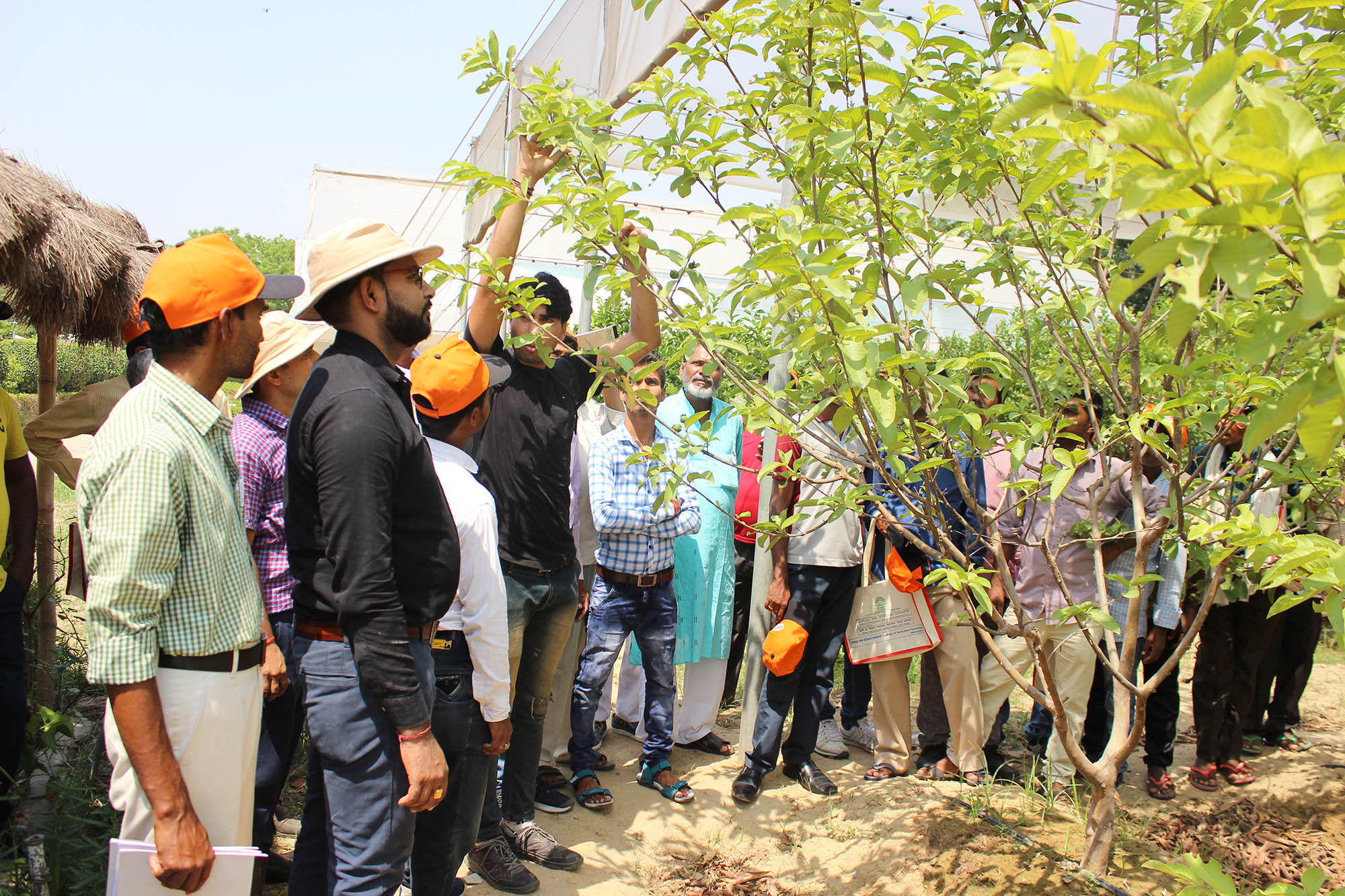 Capacity Building Programme