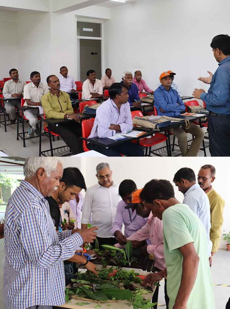 Institutional Capacity Building in Horticulture