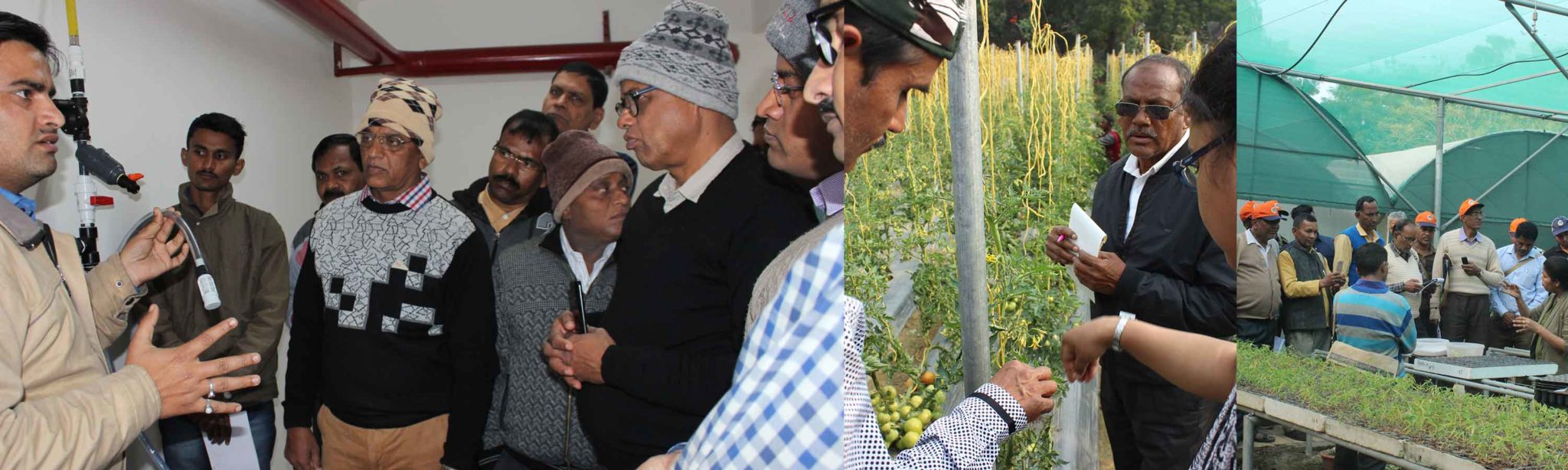 Institutional Capacity Building in Horticulture